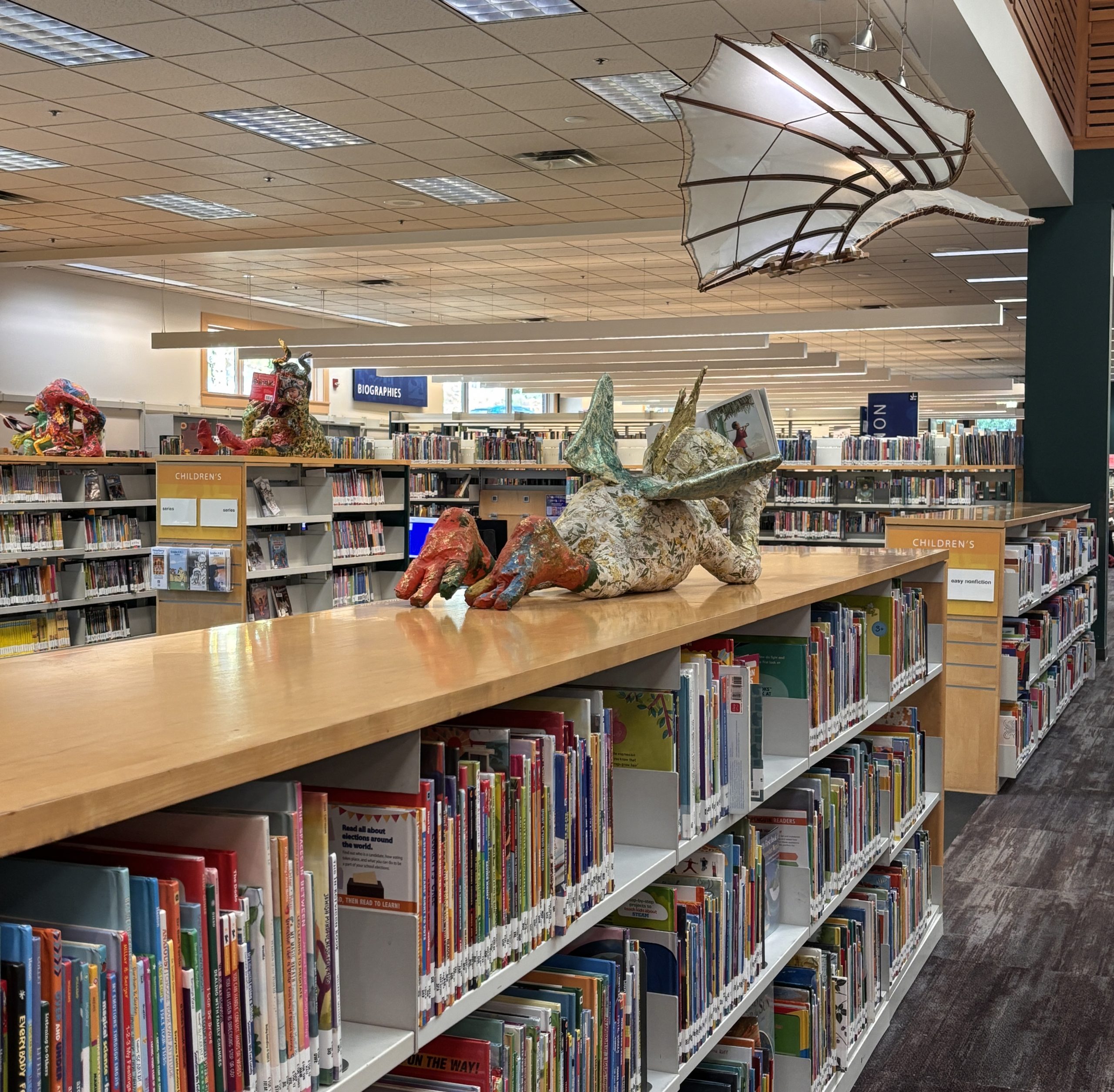 Public Libraries - SimpleResistance.US